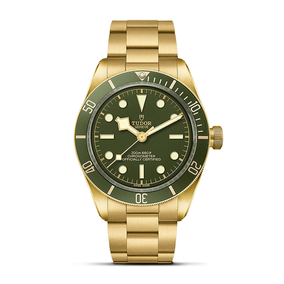 TUDOR Black Bay Watch Collection | King Jewelers